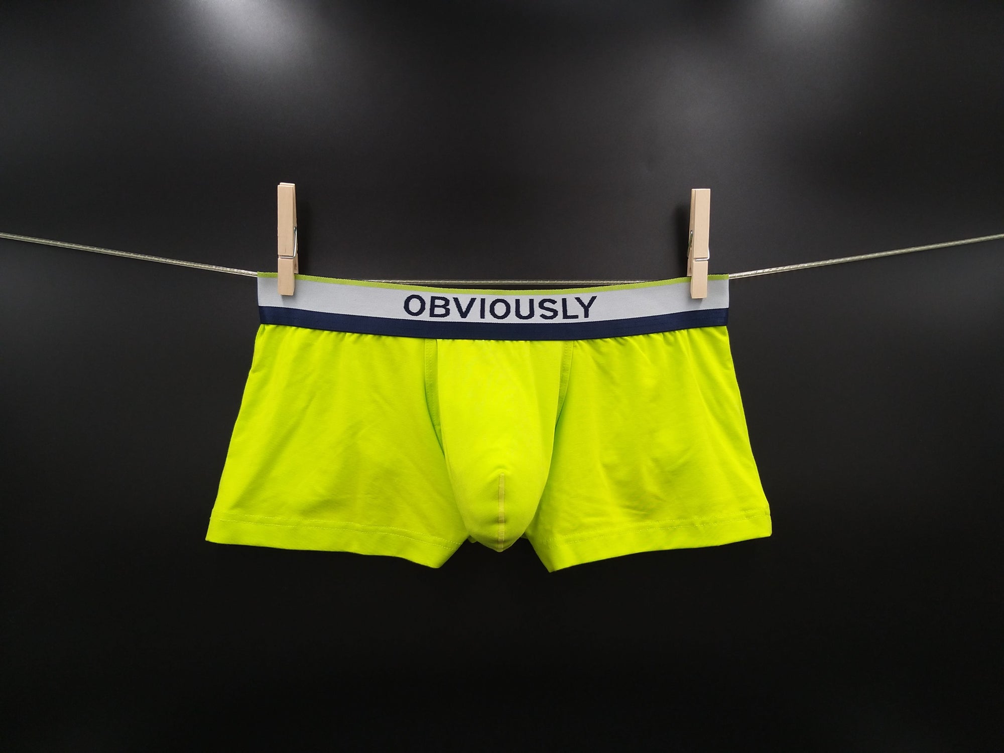 Underwear That Holds Your Balls Obviously Apparel